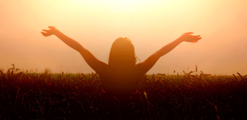 NARM Therapist Training - Online Summer 2024 – Complex Trauma Training ...