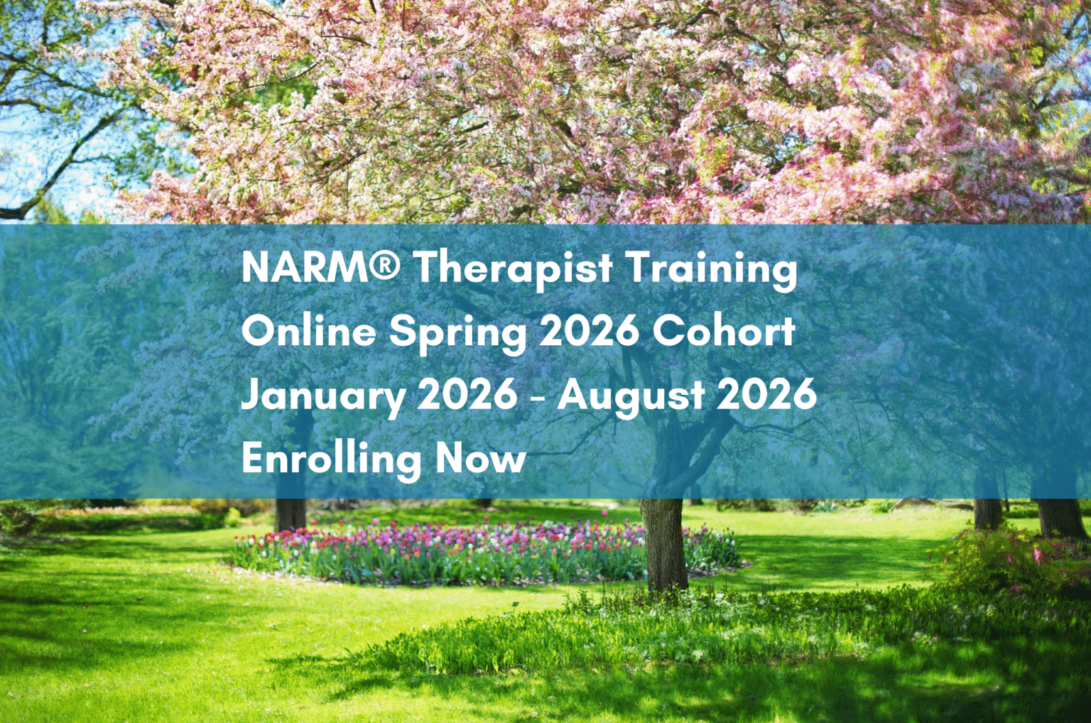 Complex Trauma C Ptsd Cptsd Treatment
